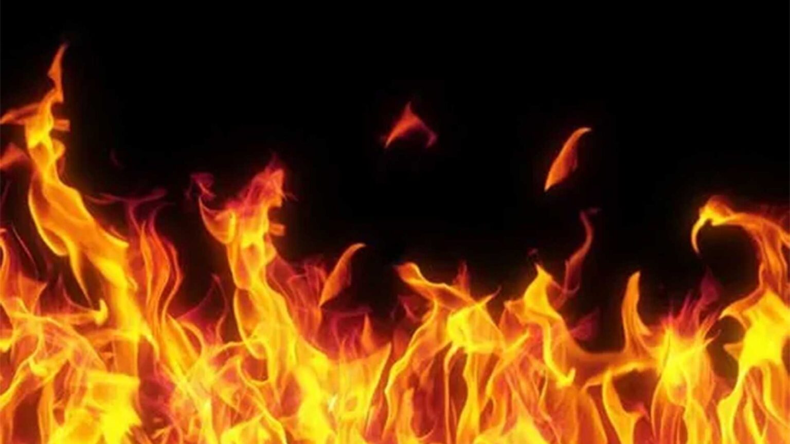 Safety lighting - Progtech